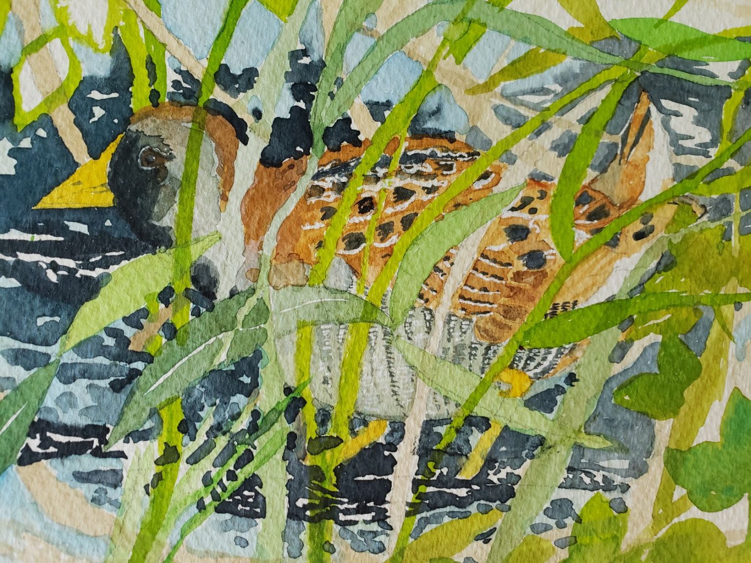 saskatchewan native plants Archives - Poached Egg Woman